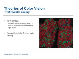 Colour perception | PDF