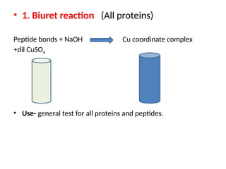 colour reaction of protein to identify amino acids | PPTX