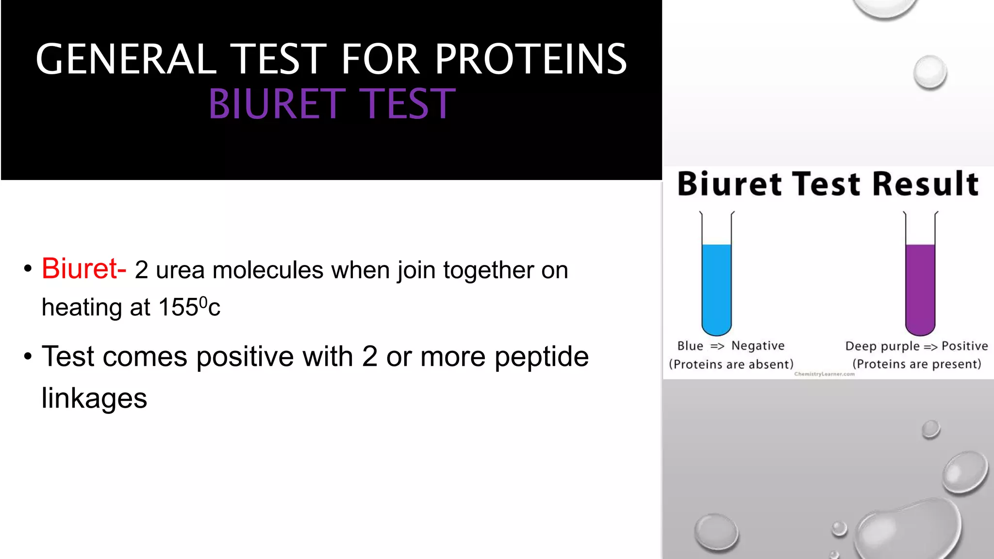 Colour reaction of proteins | PPTX