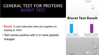 Colour reaction of proteins | PPTX