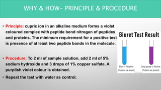 Colour reaction of proteins | PPTX