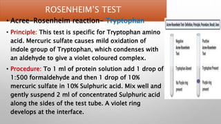 Colour reaction of proteins | PPTX