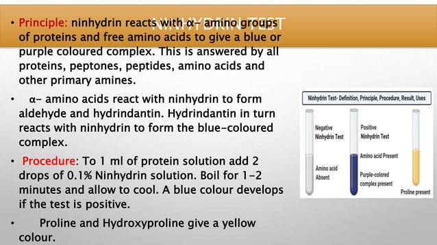 Colour reaction of proteins | PPTX