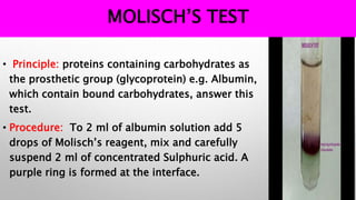 Colour reaction of proteins | PPTX