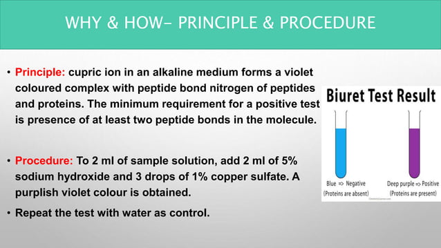 Colour reaction of proteins | PPT