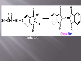 Colour reactions of protein | PPTX