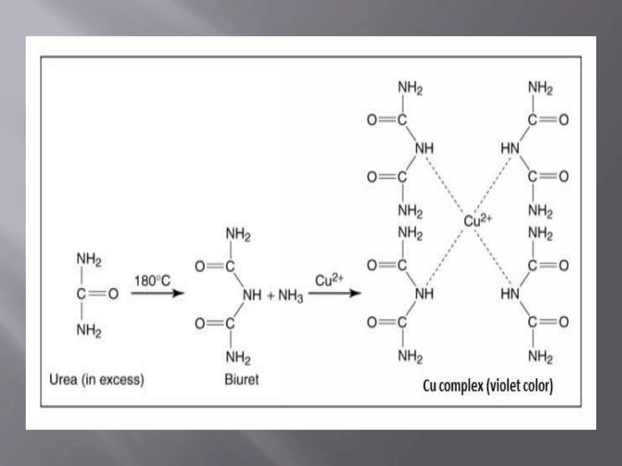 Colour reactions of protein | PPTX