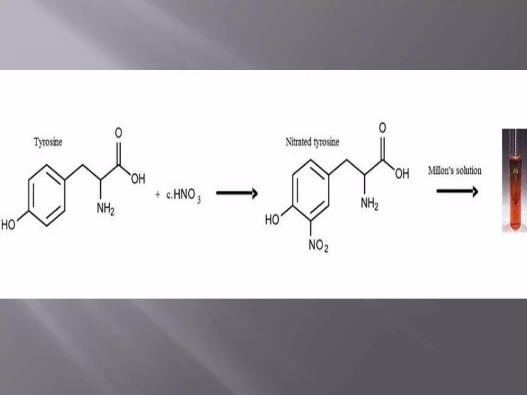 Colour reactions of protein | PPTX