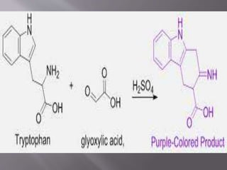 Colour reactions of protein | PPTX