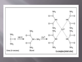 Colour reactions of protein | PPTX