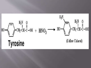 Colour reactions of protein | PPTX