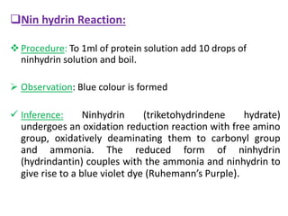 Colour reactions of proteins agp | PPTX