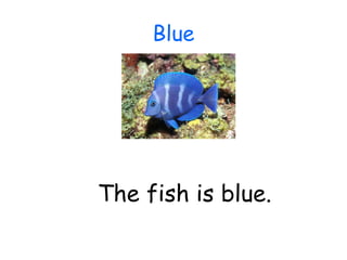 Colours jodie alyssa vella | PPT