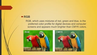 Colour scheming | PPT