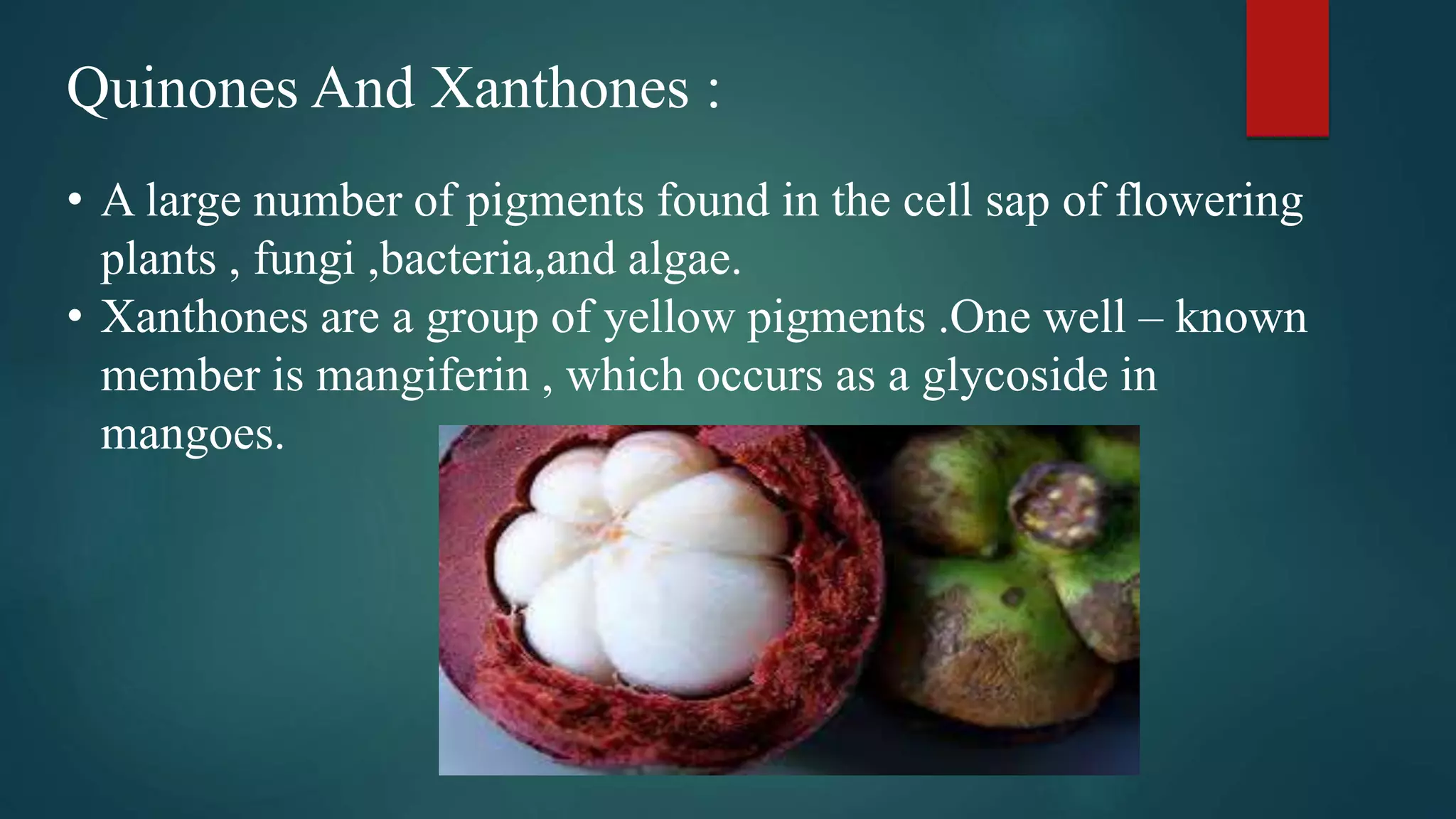 Colours in food | PPTX
