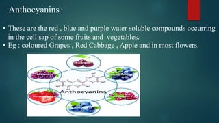 Colours in food | PPTX