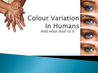Colour variation in humans | PPTX