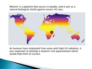 Colour variation in humans | PPT