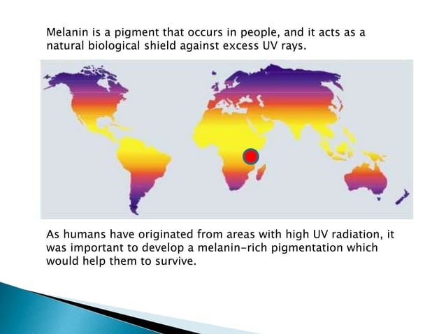 Colour variation in humans | PPT