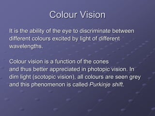 Colour vision | PPTX
