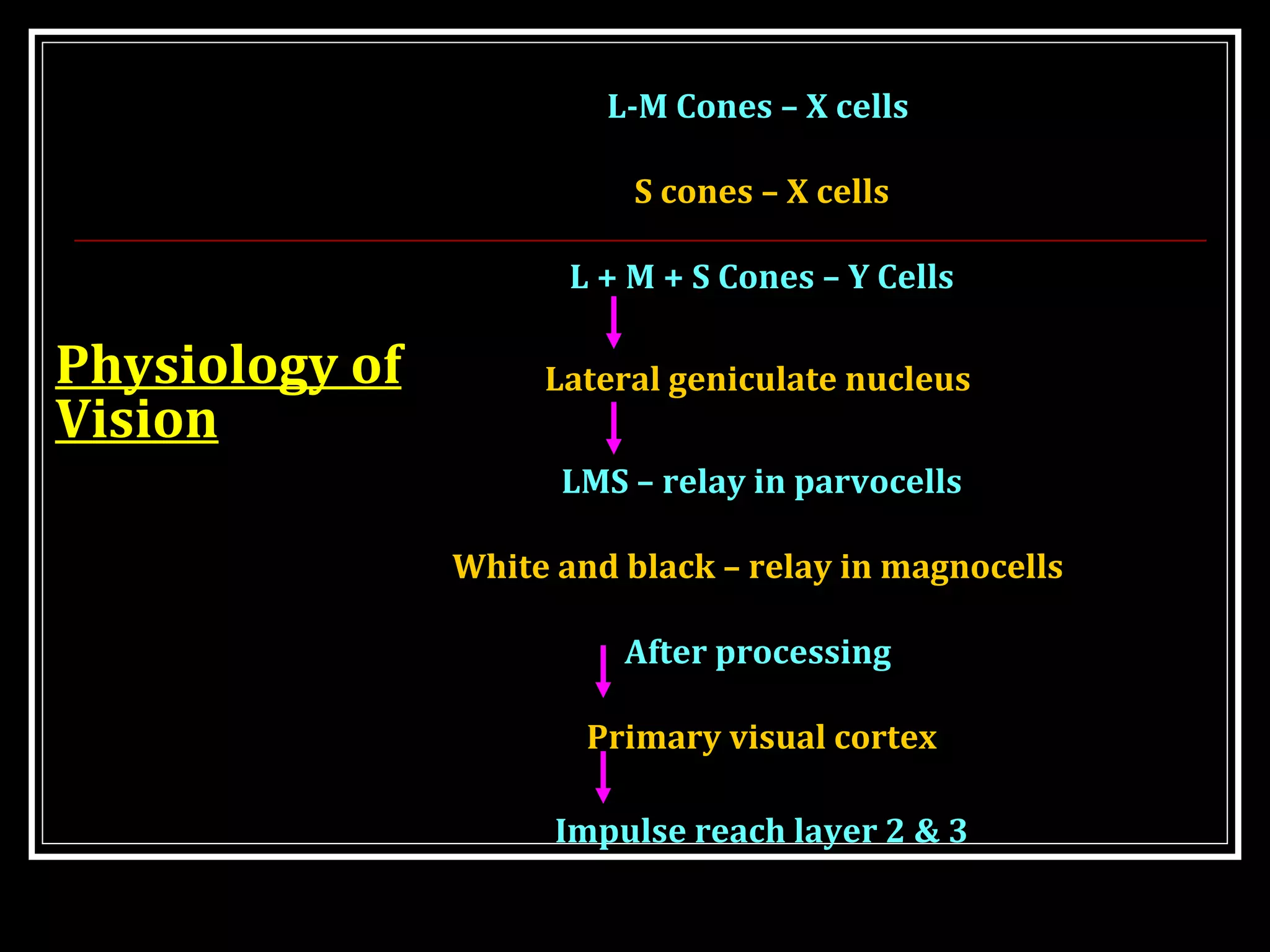 Colour vision | PPT