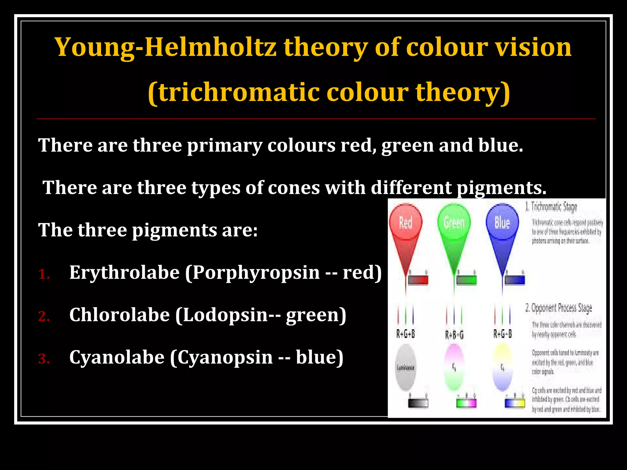Colour vision | PPT