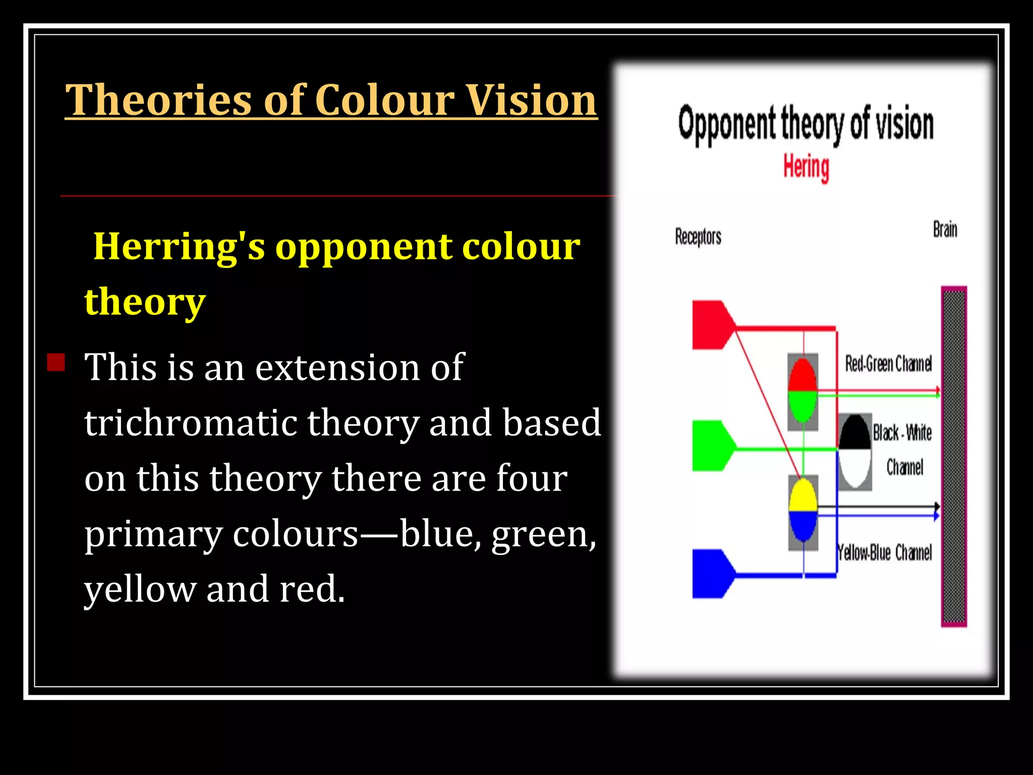 Colour vision | PPT