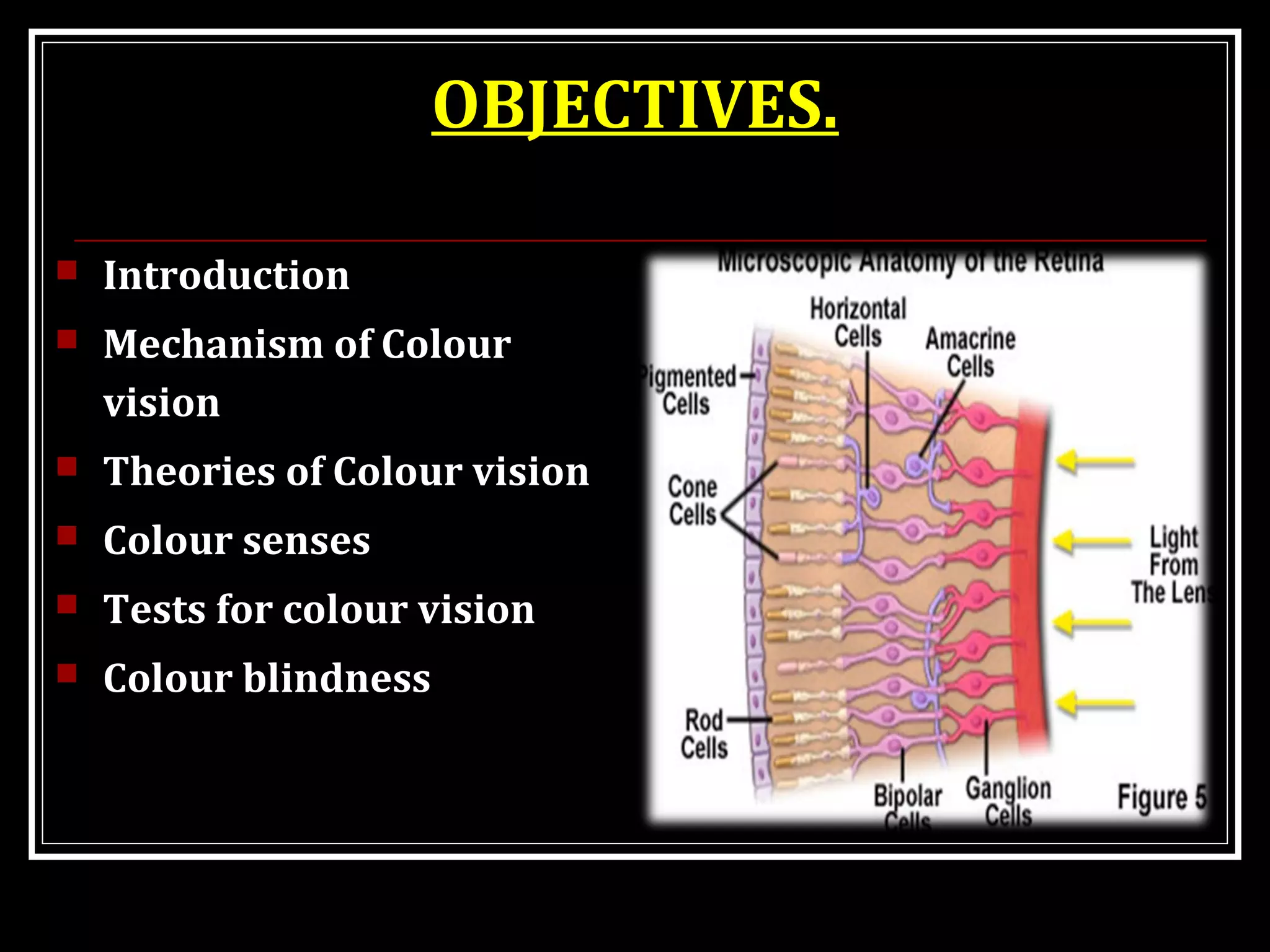Colour vision | PPT