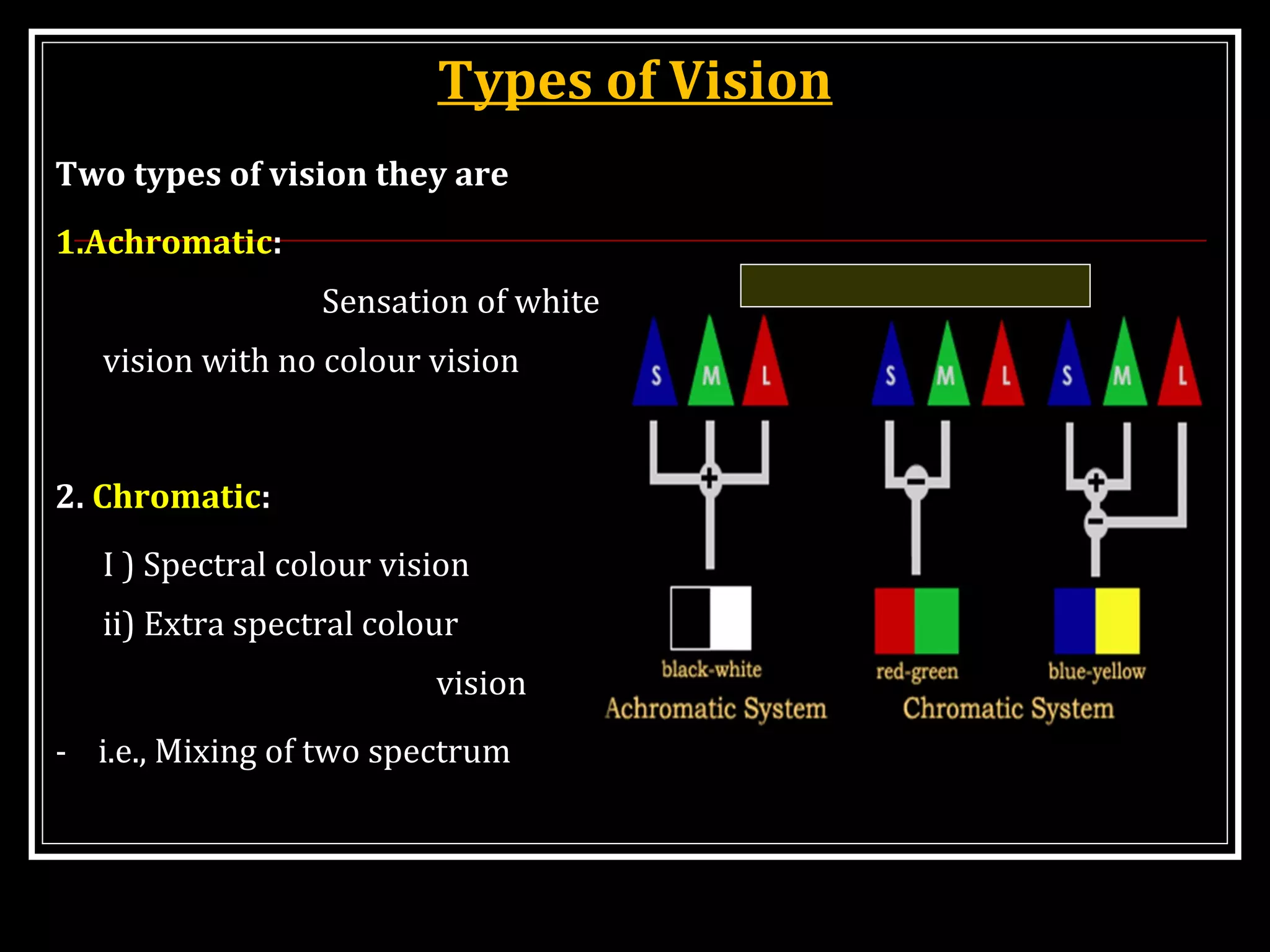 Colour vision | PPT