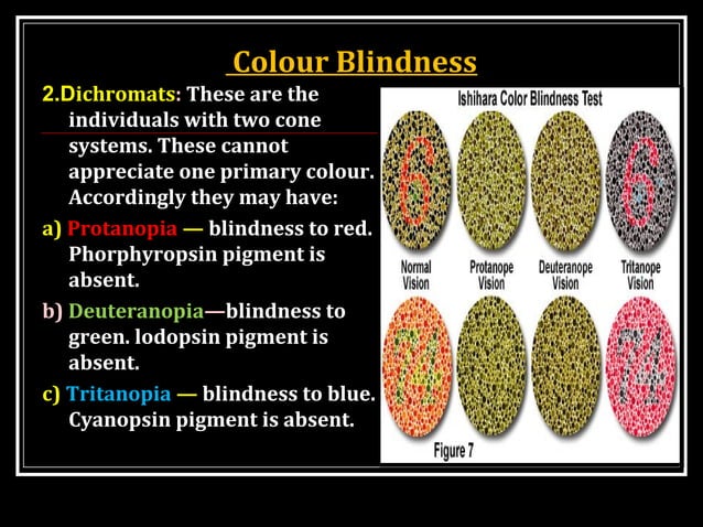 Colour vision | PPT