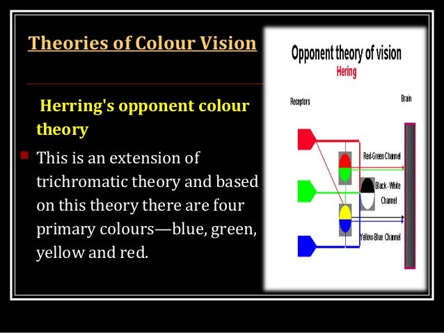 Colour vision