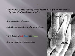 Colour vision | PPTX