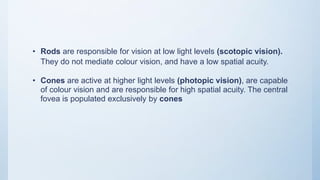 Colour vision | PPT