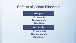 Colour vision | PPT