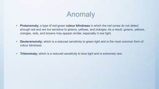 Colour vision | PPT