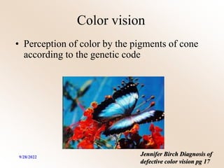 colour vision .pptx