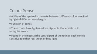 Colour Vision.pptx