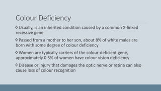 Colour Vision.pptx