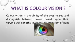 colour_vision[1].pptx