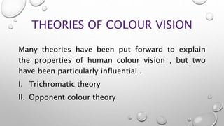 colour_vision[1].pptx