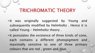 colour_vision[1].pptx