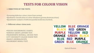 Colour vision & colour blindness | PPTX