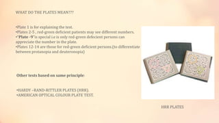 Colour vision & colour blindness | PPTX