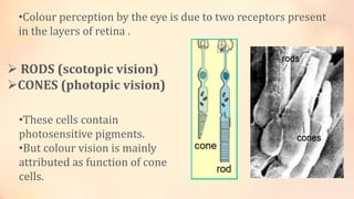Colour vision & colour blindness | PPTX