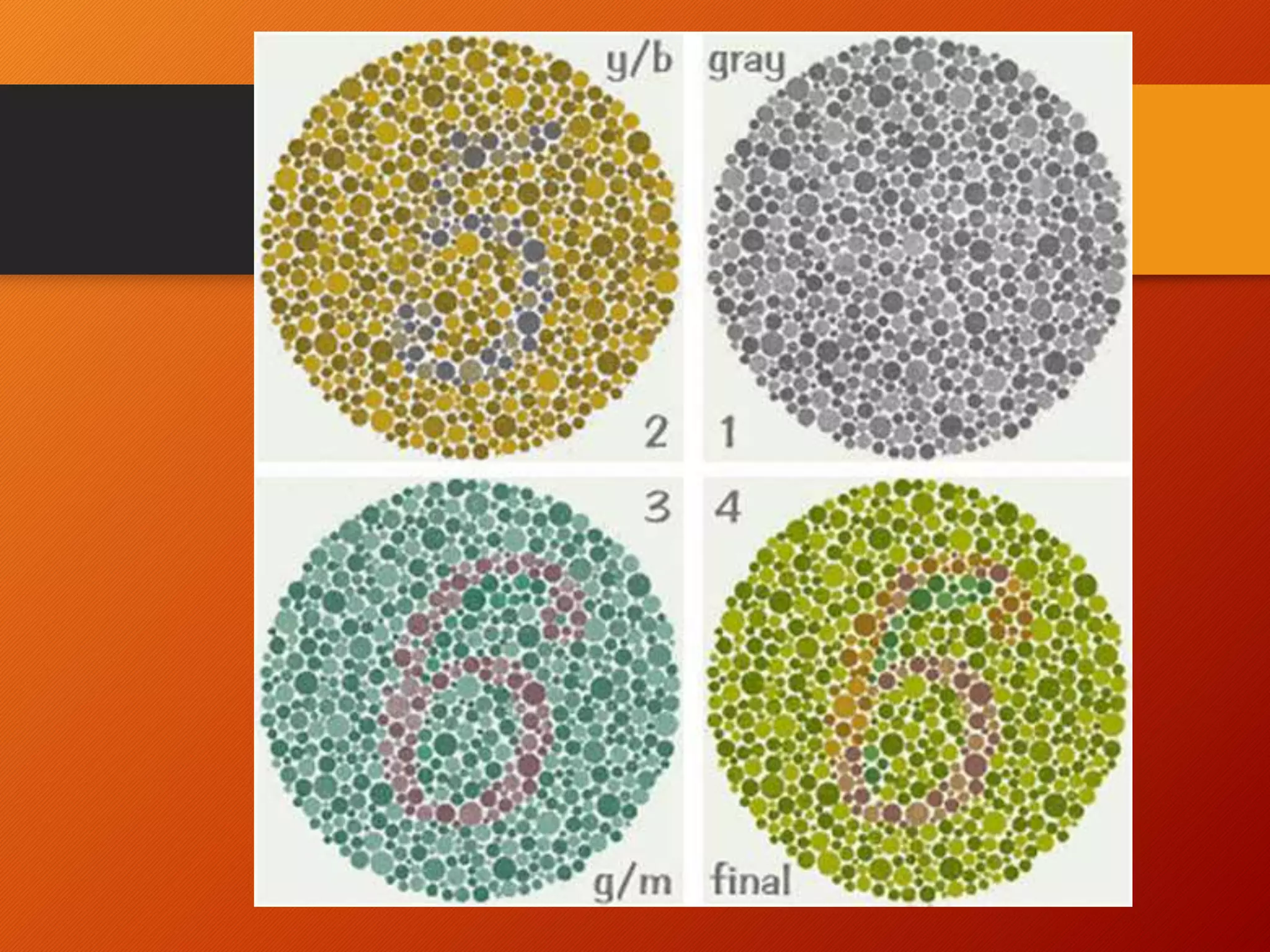 Colour vision examination | PPTX