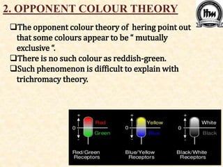 Colour vision &and literature | PPTX