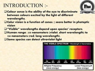 Colour vision &and literature | PPT