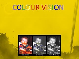 Colour vision | PPT