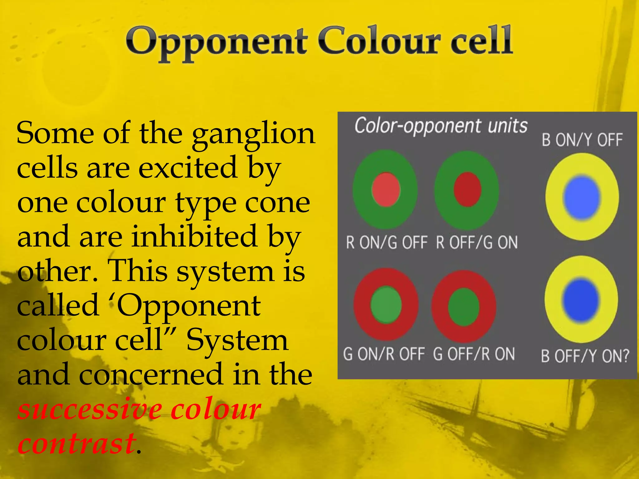 Colour vision rahul pandey | PPT