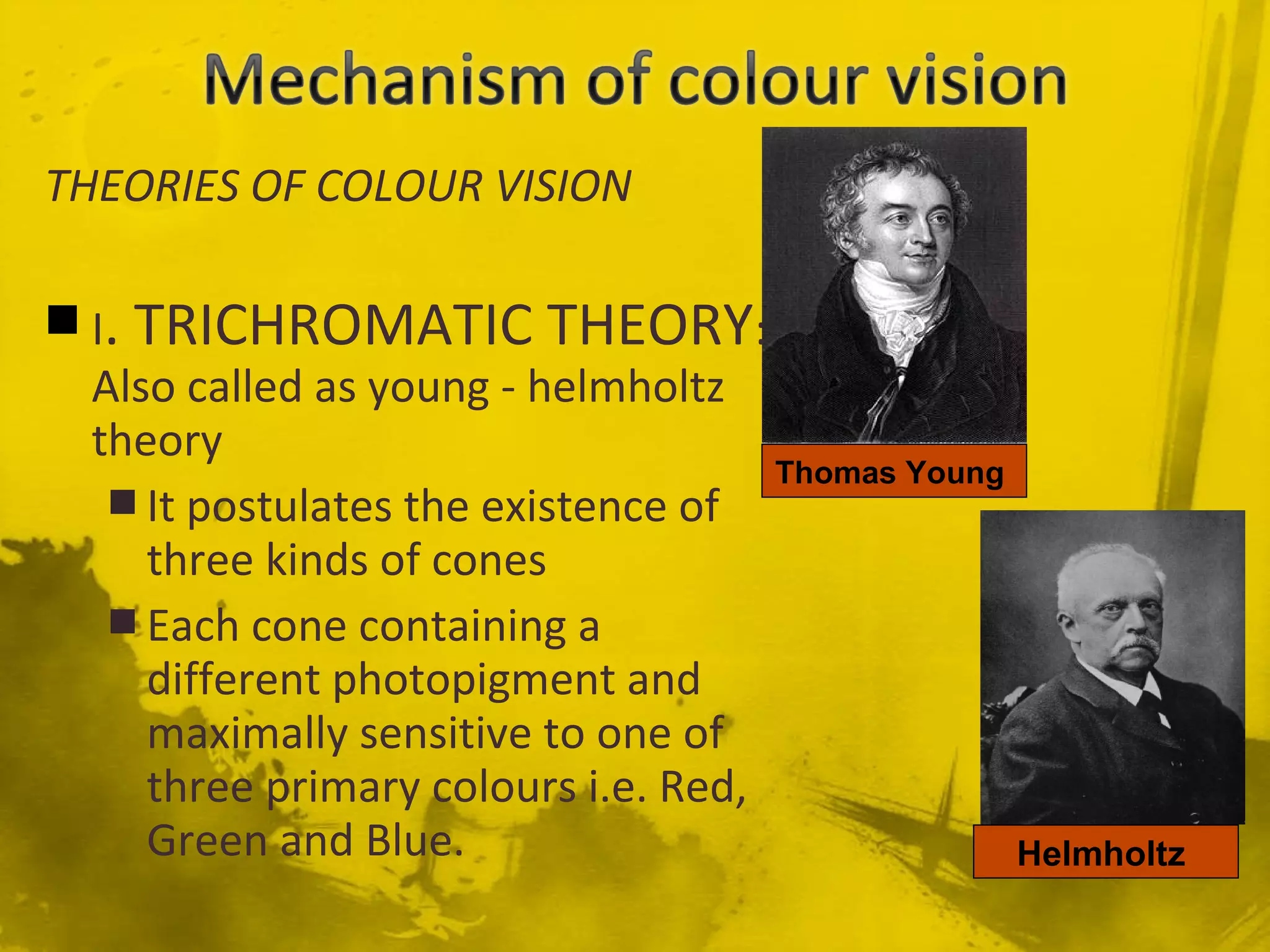 Colour vision rahul pandey | PPT